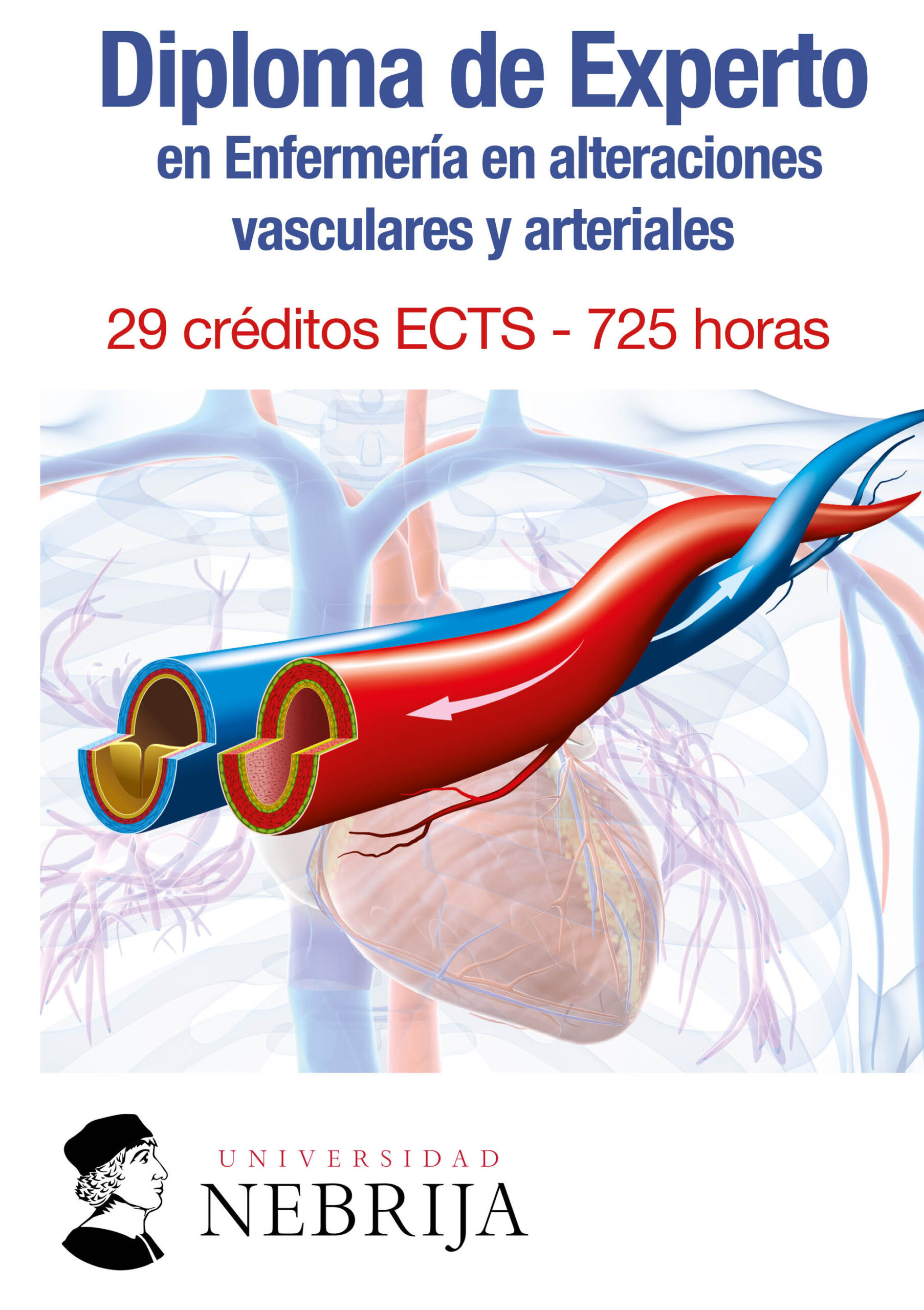 Enfermería: Másteres, Especialistas y Expertos archivos - Logoss ...